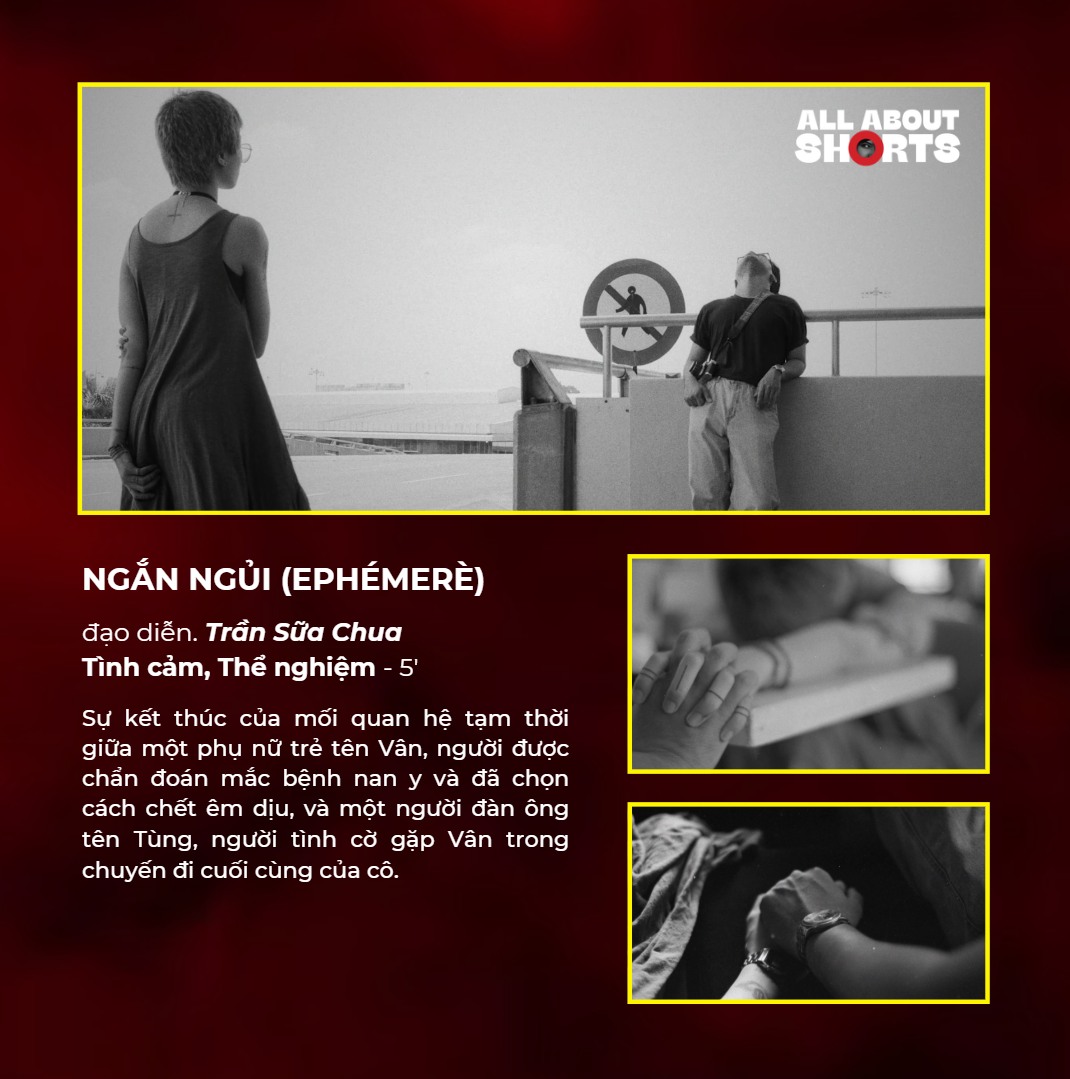 Giới thiệu tác phẩm của ALL ABOUT SHORTS #7: VOI CON TRÈO CỘT ĐÈN ...